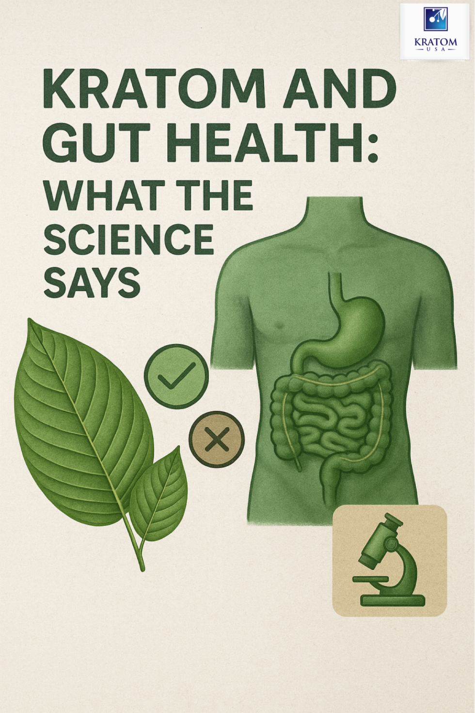 🌿 Kratom and Gut Health: What the Science Says | Kratom USA Official Website