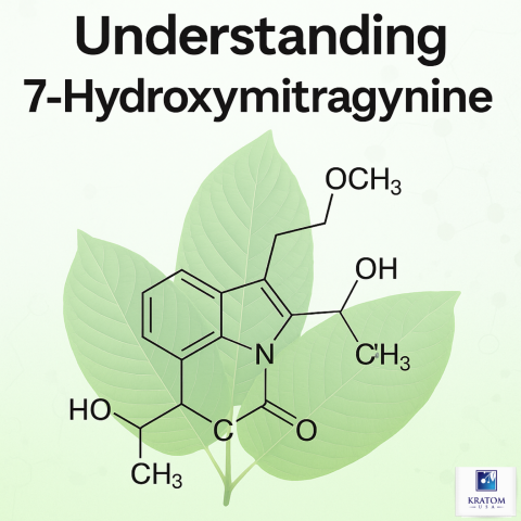 What is 7-Hydroxymitragynine | Kratom USA Official Website